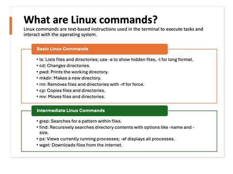 Day 2 Mastering Linux File User And Disk Management Essential