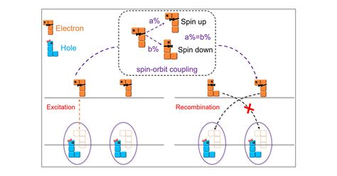 Electron Spin Polarization Enhanced Photoinduced Charge Separation In Ferromagnetic Znfe2o4