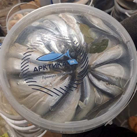 РИБНЕ ЧУДО в ДНІПРІ