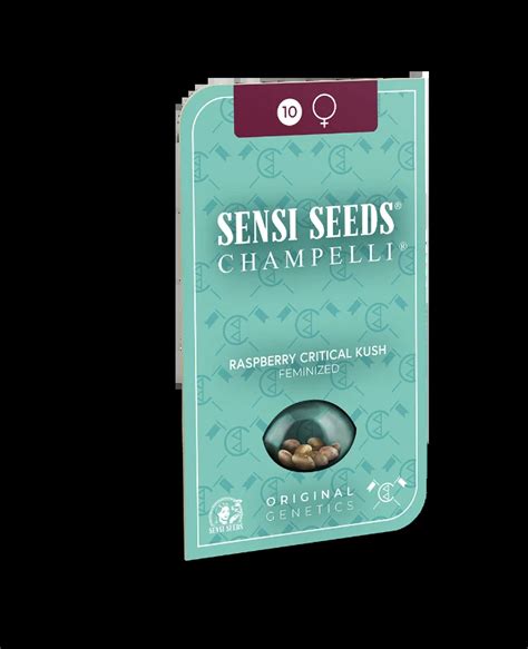 Raspberry Critical Kush Feminized Seeds Sensi Seeds