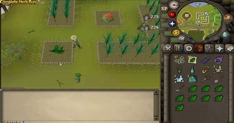 Complete Herb Farming Guide For Osrs Herb Run Guide