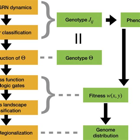 Fixed Point Classification Of The Θ Torus I Each Type Of Dynamics