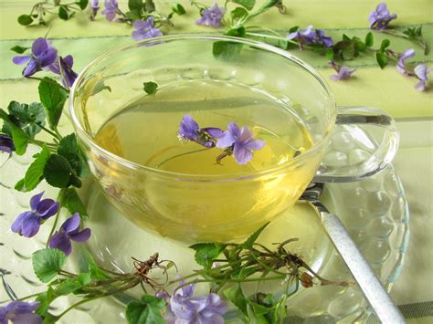 How To Make Wild Violet Tea The Survival Mom