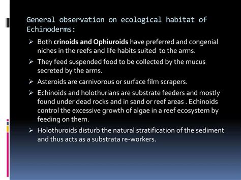 Ppt Diversity And Distribution Of Echinoderms In Rutland Island Powerpoint Presentation Id