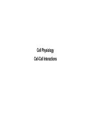 Understanding Cell Physiology Cell Cell Interactions And Course Hero