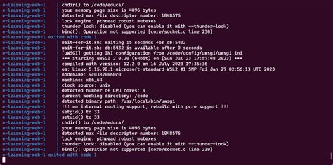 django bind operation not supported [core socket c line 230