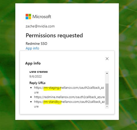 how to customize sso app info in the consent permission requested