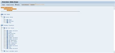 OVXG SAP Tcode Define Sales Areas