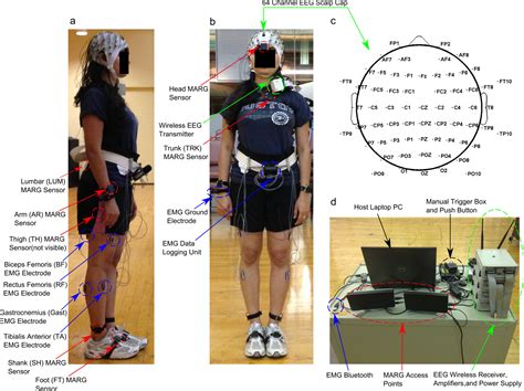 Simultaneous Scalp Electroencephalography Eeg Electromyography Emg