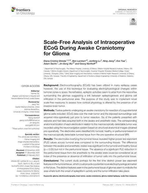 Pdf Scale Free Analysis Of Intraoperative Ecog During Awake Craniotomy For Glioma