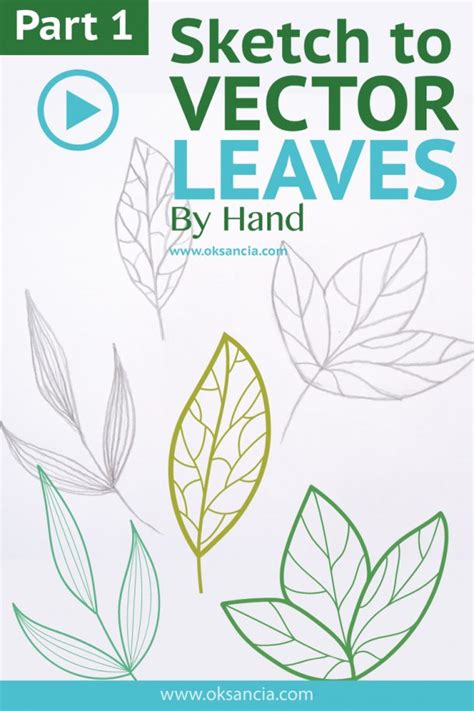 How To Turn A Sketch Into A Vector In Adobe Illustrator How To Draw
