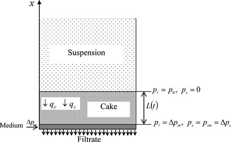 Schematic Diagram Depicting Cake Formation Download Scientific Diagram