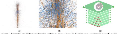 Figure 1 From A Unified Framework For Neuroscience Morphological Data
