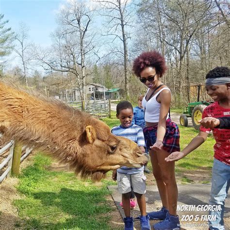 Mothers Day North Georgia Wildlife Park