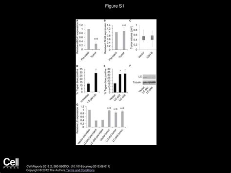Anticancer Activity Of The Cholesterol Exporter ABCA Gene Ppt Download