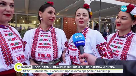 Българи живеещи в чужбина няма да се приберат за Коледа заради скъпите самолетни билети