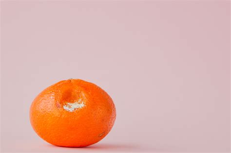 썩은 몰 디 오렌지 분홍색 배경에 귤 성장 하는 곰 팡이의 사진 식품 오염 나쁜 버 릇 없는 썩은 과일 Messthetics 개념 음식 잔재 0명에 대한 스톡 사진 및 기타