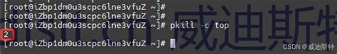 linux系统下的进程管理利器：pkill命令详解 csdn博客