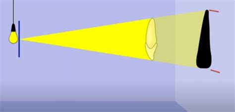 D2 Omf Radiology Making A Radiographic Image Flashcards Quizlet