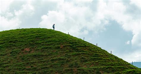 Linear Regression With Pytorch The Essential Beginners Guide