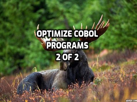 cobol how to write clean programs srinimf