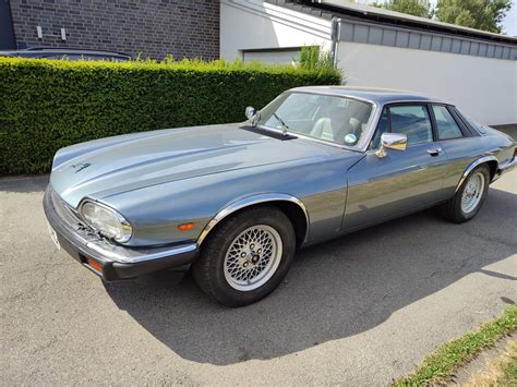 Leafy Jaaaaag Rjaguar