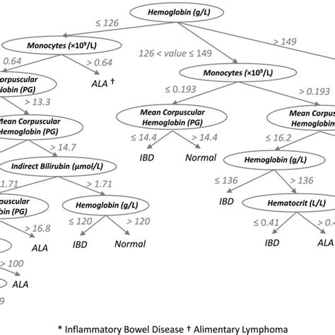 a flowchart showing the decision tree generated by the c4 5 classifier