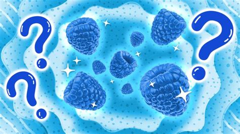 What Is Blue Raspberry And Does It Exist In Nature Sporked