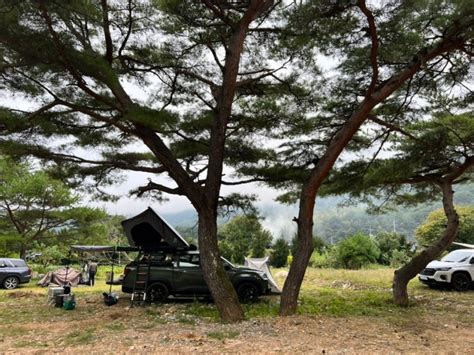 캠핑기록 7 정선 흥터유원지 네이버 블로그