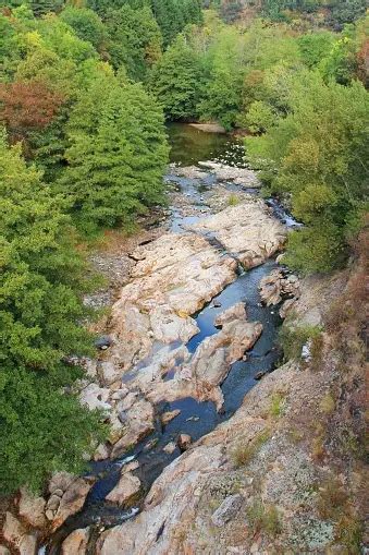 Flowy Pictures Download Free Images On Unsplash