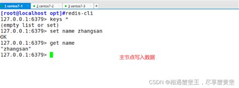 Redis主从复制，哨兵和cluster集群 Csdn博客