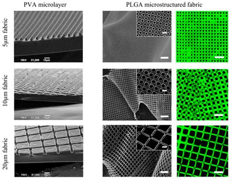 Microstructured Polymeric Fabrics Modulating The Paracrine Activity Of Adipose Derived Stem Cells