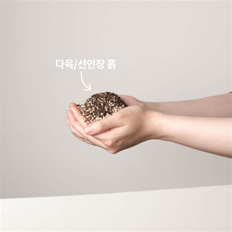 분갈이흙 마사토 상토 배양토 펄라이트 다육이흙