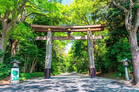 Meiji Jinguu Shrine 明治神宮 おみくじ Wlgsnd