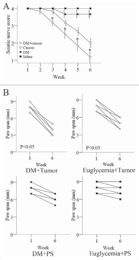 Measures Of Sciatic Nerve Function In Diabetic And Normal Mice A The