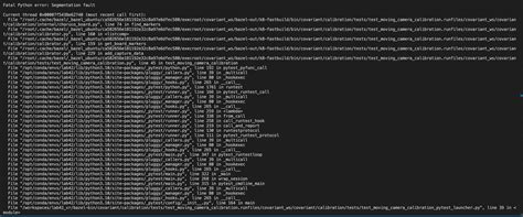 Setcharucoparameters Results In Segfault When Using The Python Opencv