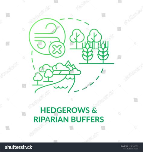 Riparian Buffer Farmland Over 3 Royalty Free Licensable Stock