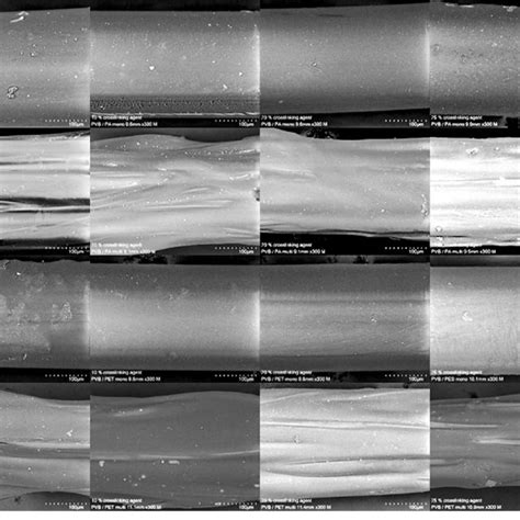 Chemical Structure Of Pvb With The Three Different Building Blocks Download Scientific Diagram