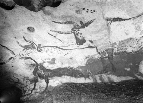 Пещера Ласко 1946 год Пикабу
