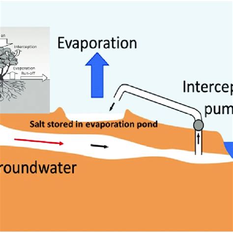 Schematic Diagram Of A Salt Interception Scheme Redrawn From Williams Download Scientific