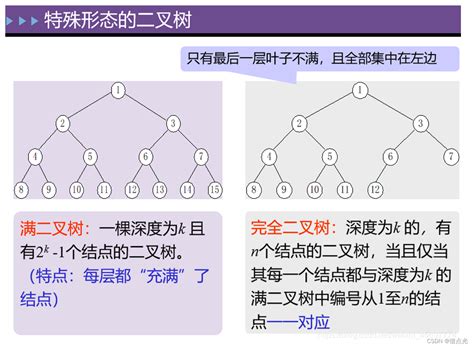 博客摘录「 数据结构（c语言版） 第 五 章 树与二叉树 知识梳理 作业习题详解」2023年5月9日 数据结构第五章作业 csdn博客