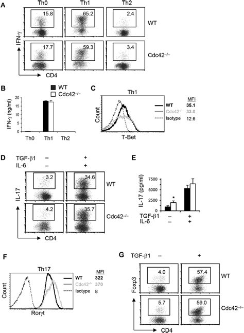 Rational Targeting Cdc42 Restrains Th2 Cell Differentiation And Prevents Allergic Airway