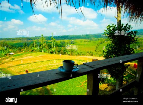 Cup Of Java Coffee Indonesia Stock Photo Alamy