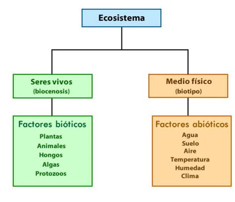 Factores Del Ecositema