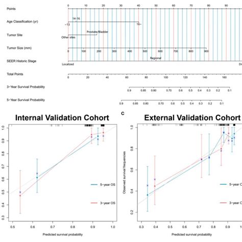 Development And Validation Of The Nomogram Predicting Os For Pgu Rms