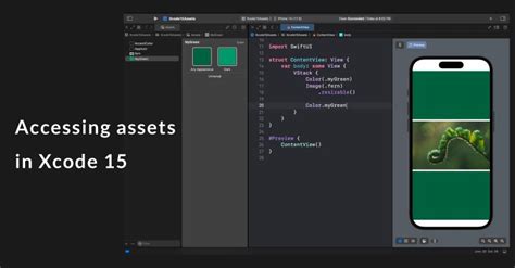 Namit Gupta On Linkedin Access Colors And Images From Asset Catalog Via Static Properties In Xcode