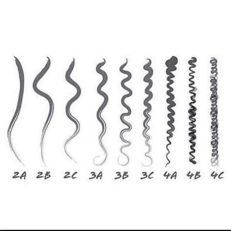 Curl types curl patterns 2a 2b 2c 3a 3b 3c 4a 4b 4c – Artofit