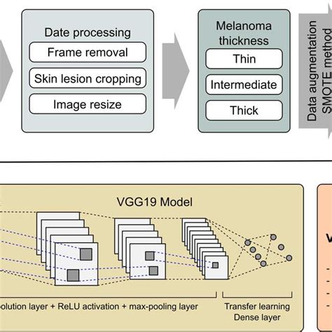 Schematic Overview Of The Personalized Vgg 19 Network Architecture With