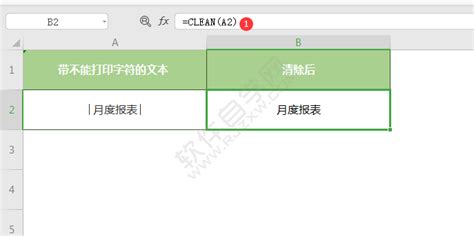 Clean函数的使用方法 软件自学网