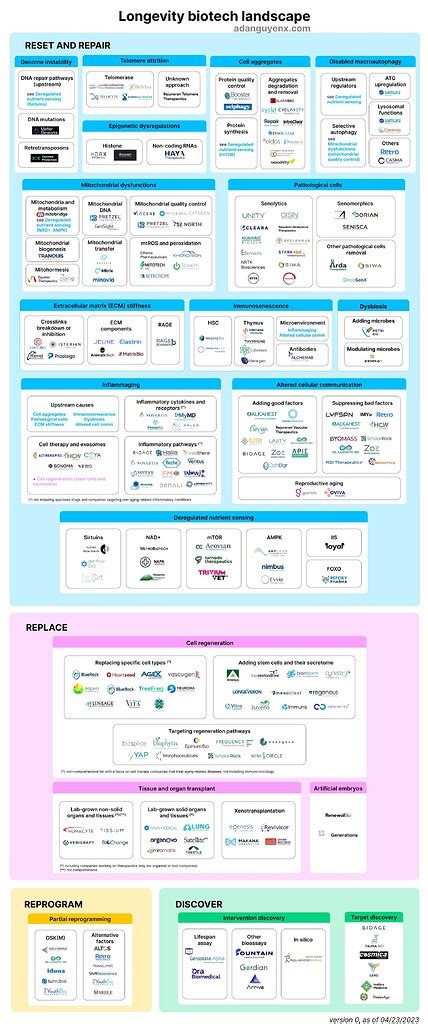 Longevity Biotech Landscape By Ada Nguyen Rapamycin Longevity News